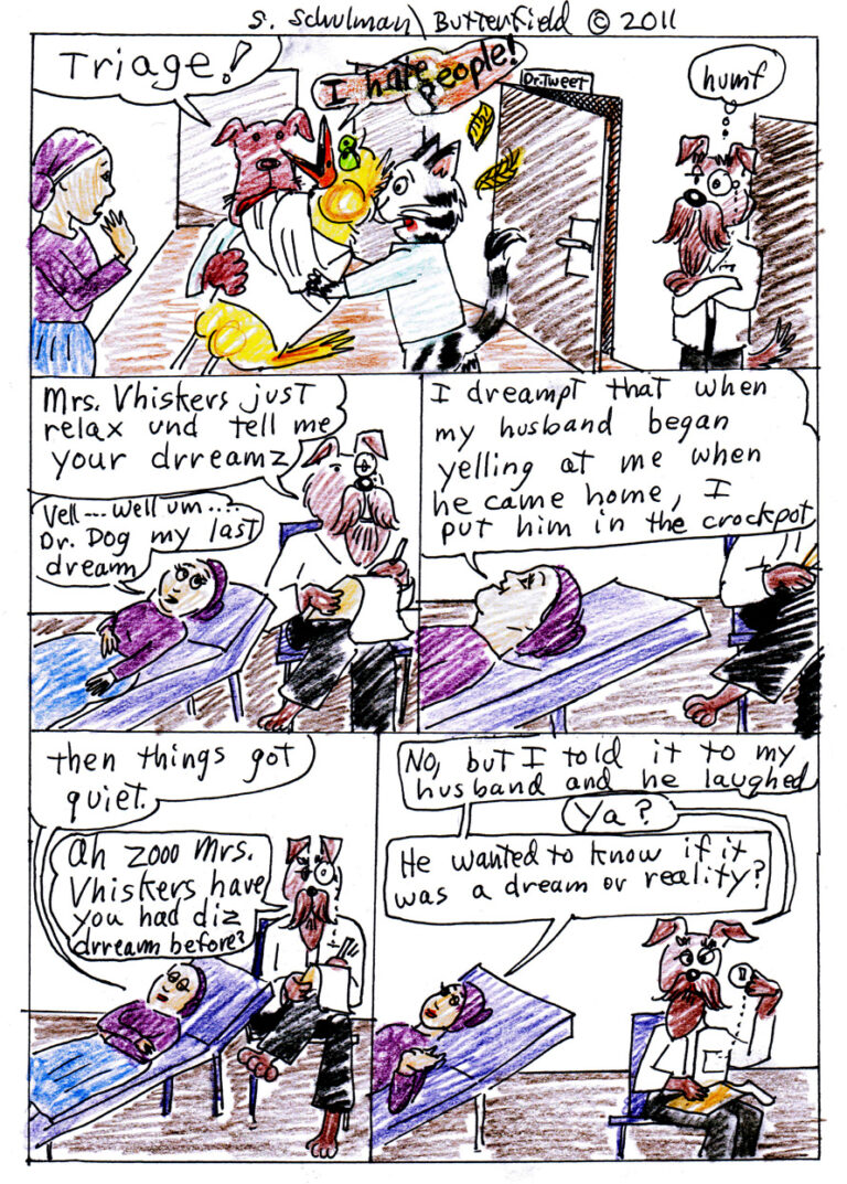 Anger Management – Jerusalem Cats